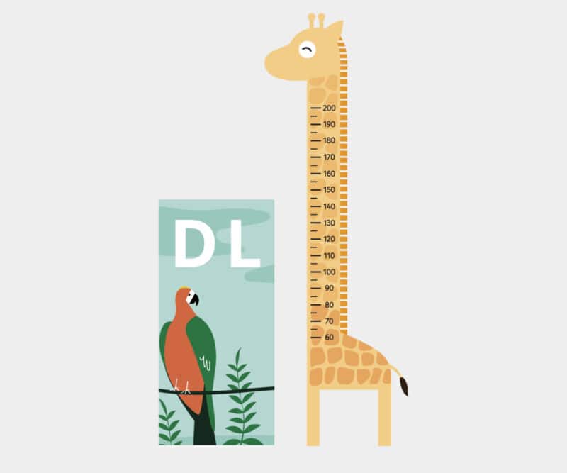 DL Leaflets & Flyers - Signportal